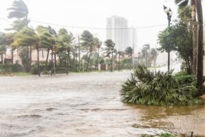 Hurricane insurance in Florida: A complete guide