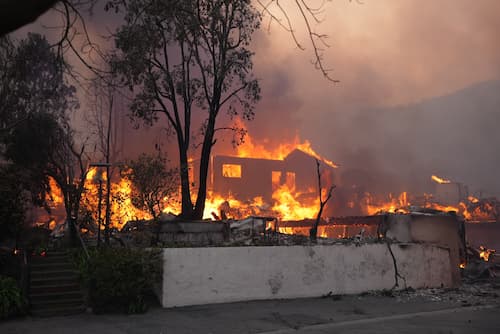 Wildfire defense insurance services: What you need to know