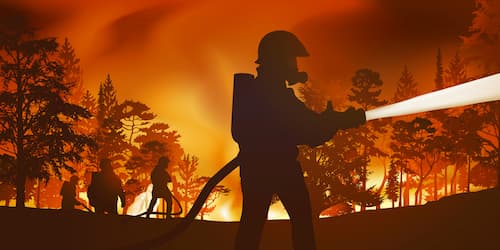 Wildfire defense insurance services: What you need to know